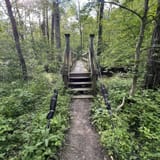 Low Gap Trail , Indiana - 1,445 Reviews, Map | AllTrails