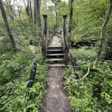 Low Gap Trail , Indiana - 1,445 Reviews, Map | AllTrails