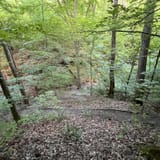 Low Gap Trail , Indiana - 1,445 Reviews, Map | AllTrails