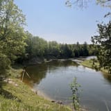 The Manistee River Loop Trail, Michigan - 2,108 Reviews, Map | AllTrails