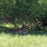 Walter Bean Grand River Trail (RIM Park), Ontario, Canada - 123 Reviews ...