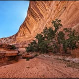 Horseshoe Canyon Trail, Utah - 408 Reviews, Map | AllTrails