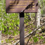 Welch-Dickey Loop Trail, New Hampshire - 7,098 Reviews, Map | AllTrails