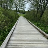 Hooksett Riverwalk Trail, New Hampshire - 200 Reviews, Map | AllTrails