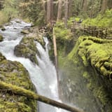 Sol Duc Falls Trail, Washington - 4,638 Reviews, Map | AllTrails
