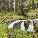 Sol Duc Falls Trail, Washington - 4,638 Reviews, Map | AllTrails