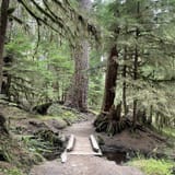 Sol Duc Falls Trail, Washington - 4,638 Reviews, Map | AllTrails
