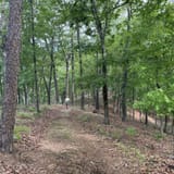 Big Spring Campground, Missouri - 125 Reviews, Map | AllTrails