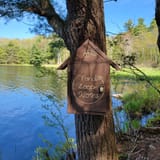 Benedict Pond Loop Trail, Massachusetts - 695 Reviews, Map | AllTrails