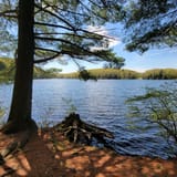 Benedict Pond Loop Trail, Massachusetts - 695 Reviews, Map | AllTrails