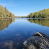 Benedict Pond Loop Trail, Massachusetts - 695 Reviews, Map | AllTrails