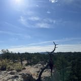 Ute Valley Park Loop Trail, Colorado - 2,701 Reviews, Map | AllTrails