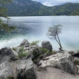 Eibsee Loop, Bavaria, Germany - 899 Reviews, Map | AllTrails