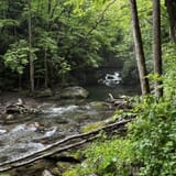 Mouse Creek Falls via Big Creek Trail, Tennessee - 2,808 Reviews, Map ...