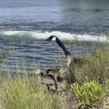 Boise Cascade Lake Loop, Idaho - 303 Reviews, Map | AllTrails