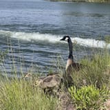 Boise Cascade Lake Loop, Idaho - 303 Reviews, Map | AllTrails