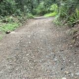 Echo Peak Loop Trail, Washington - 1,446 Reviews, Map | AllTrails