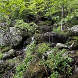 Lewis Spring Falls Trail, Virginia - 1,511 Reviews, Map | AllTrails