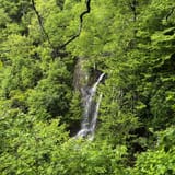 Lewis Spring Falls Trail, Virginia - 1,511 Reviews, Map | AllTrails