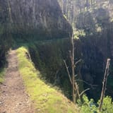 Eagle Creek Trail, Oregon - 851 Reviews, Map | AllTrails