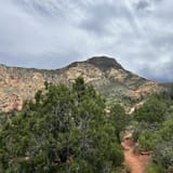 Wilson Mountain Trail, Arizona - 1,163 Reviews, Map | AllTrails