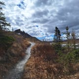 Savage River Loop, Alaska - 1,139 Reviews, Map | AllTrails