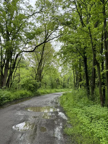 Best Forest Trails in Stewart State Forest | AllTrails