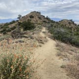 Panorama Loop, California - 3,032 Reviews, Map | AllTrails