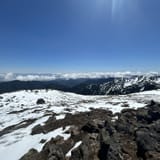 Mount Townsend Trail, Washington - 1,779 Reviews, Map | AllTrails