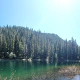 Spider Lake Trail, Washington - 240 Reviews, Map | AllTrails