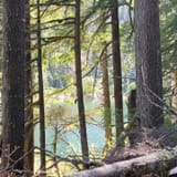 Spider Lake Trail, Washington - 240 Reviews, Map | AllTrails