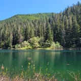 Spider Lake Trail, Washington - 240 Reviews, Map | AllTrails