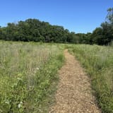 Cedar Ridge Outer Loop, Texas - 2,159 Reviews, Map | AllTrails