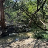 Cedar Ridge Outer Loop, Texas - 2,159 Reviews, Map | AllTrails