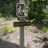 Tamolitch Blue Pool via McKenzie River Trail, Oregon - 4,726 Reviews ...