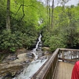 Dukes Creek Trail, Georgia - 3,170 Reviews, Map | AllTrails