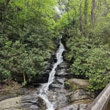 Dukes Creek Trail, Georgia - 3,189 Reviews, Map | AllTrails