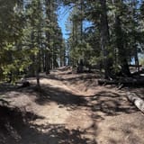 Bryce Point to Sunset Point Trail, Utah - 1,001 Reviews, Map | AllTrails