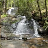 Fall Branch Falls Trail, Georgia - 1,274 Reviews, Map | AllTrails