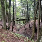 Five Mile Trail, New York - 1,473 Reviews, Map | AllTrails