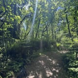 Tryon Creek Triple Bridge Loop, Oregon - 1,506 Reviews, Map | AllTrails