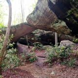 Hazard Cave and Natural Bridge Trail, Tennessee - 367 Reviews, Map ...