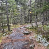 Mount Morgan and Mount Percival Loop, New Hampshire - 3,522 Reviews ...