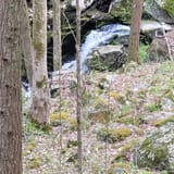 Zoar Trail, Connecticut - 2,233 Reviews, Map | AllTrails