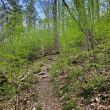 Zoar Trail, Connecticut - 2,280 Reviews, Map | AllTrails