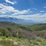 Suncrest Trail, Utah - 1,546 Reviews, Map | AllTrails
