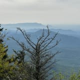Mount Cammerer via Low Gap Trail, Tennessee - 2,089 Reviews, Map ...