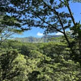 Kuilau Ridge Trail, Kaua'i, Hawaii - 2,355 Reviews, Map | AllTrails