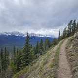 Castle Mountain Lookout Trail, Alberta, Canada - 1,896 Reviews, Map ...