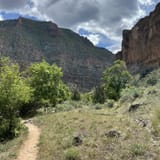 Jones Hole Trail, Utah - 276 Reviews, Map | AllTrails
